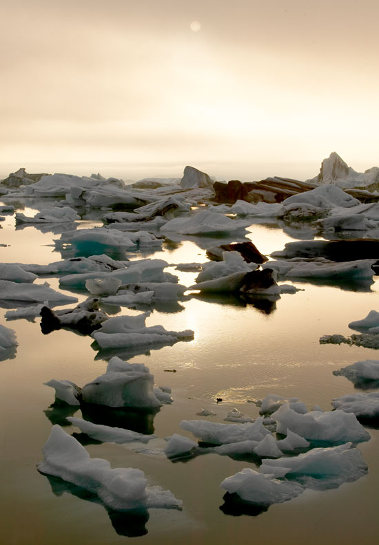 Icefield - Luminous Landscape