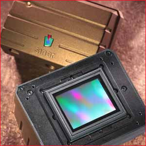 MF Backs - Q3 - Luminous Landscape