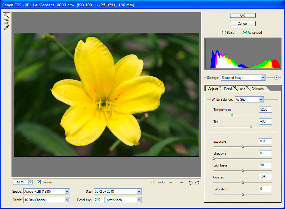 Restore Those Clipped Channels - Luminous Landscape