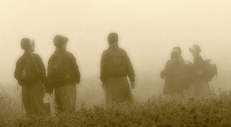 Mennonite Girls - Luminous Landscape