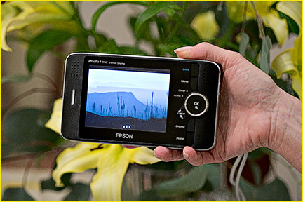 Epson P-2000 Review - Luminous Landscape