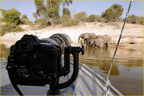 Digital Safari Equipment Tips - Luminous Landscape