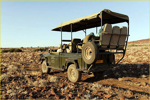 Digital Safari Equipment Tips - Luminous Landscape