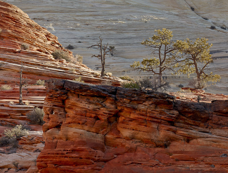 Trinity Cliffs - Luminous Landscape