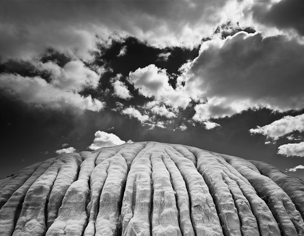 Minor White Nature Photography