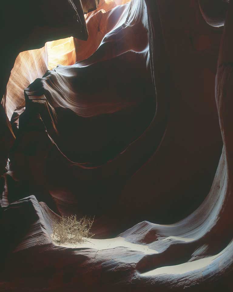 Antelope Bush - Luminous Landscape