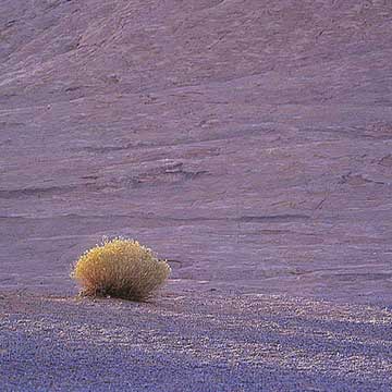 January 2001 - Luminous Landscape