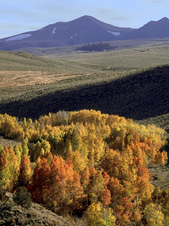 Yellow Valley - Luminous Landscape