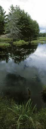 battle of the ultrawides - Luminous Landscape