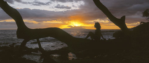 Hasselblad XPan - Luminous Landscape