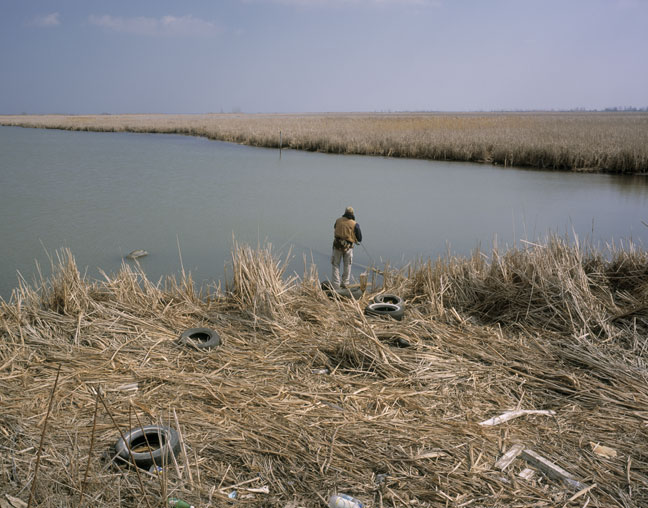 PP Fish Colour - Luminous Landscape