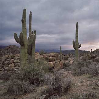 January 2001 - Luminous Landscape