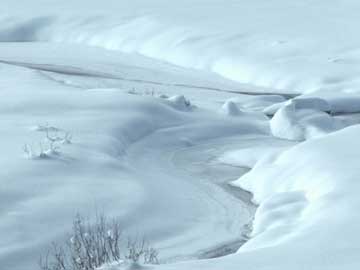 January 2001 - Luminous Landscape