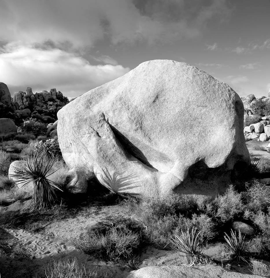 White Rock - Luminous Landscape