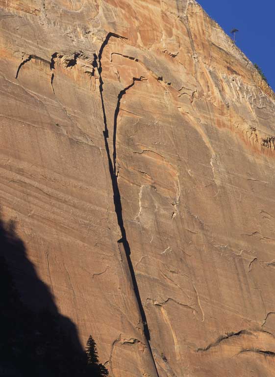 Rock Face & Tree - Luminous Landscape