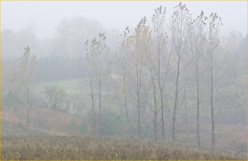Country Mist - Luminous Landscape