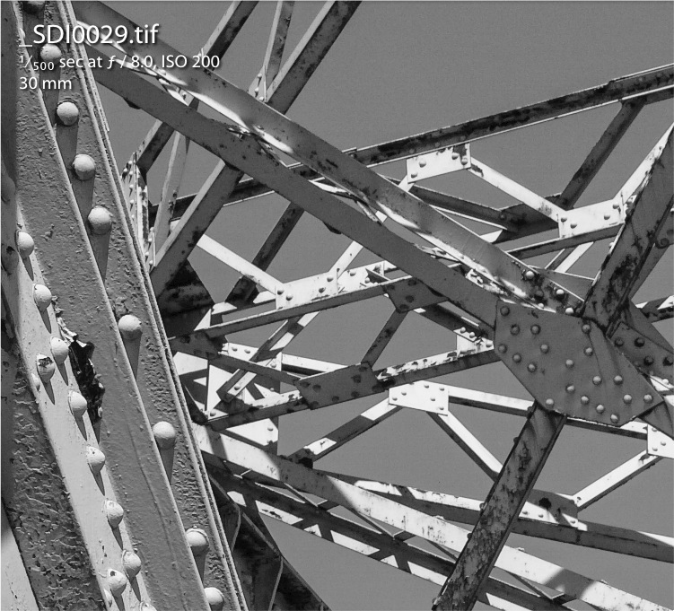 Sigma DP2M Review - Luminous Landscape