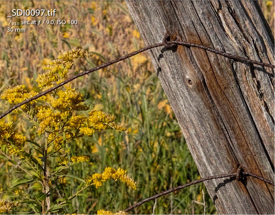 Sigma DP2M Review - Luminous Landscape