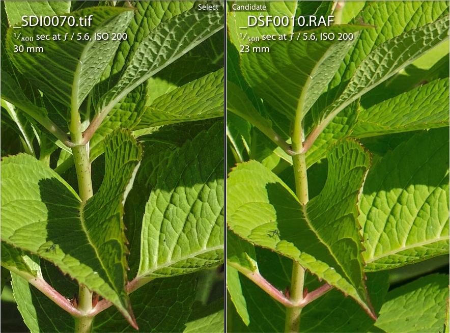 Sigma DP2M Review - Luminous Landscape