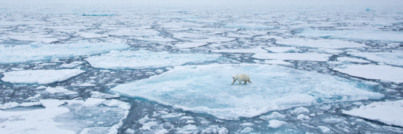 Svalbard 2014 - 2 Very Special Workshops - Luminous Landscape