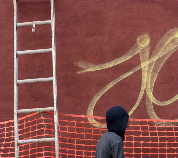 Lamp & Ladder - Luminous Landscape